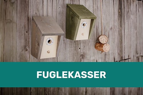 Fuglekasser - Kahoy